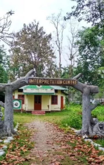 Assam Tourism's Untamed Beauty of Wildlife Wonders & Adventure